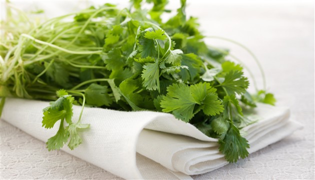 Zdrava travulja: Korijander - začin i lek