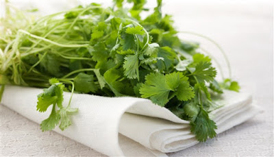 Zdrava travulja: Korijander - začin i lek