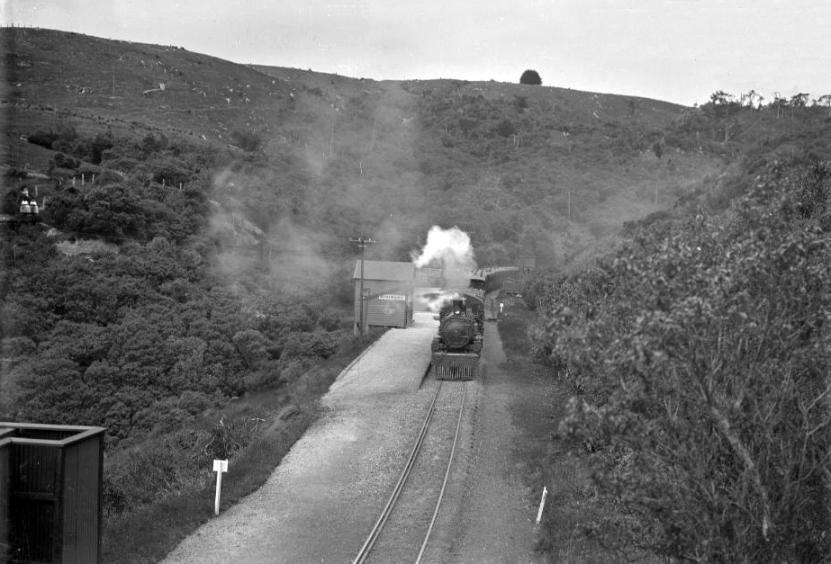 transpress nz: steam train through Mihiwaka, Dunedin