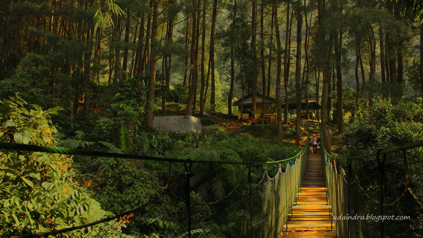 Mengunjungi Suaka Elang dan Curug Cibadak-Loji, Bogor