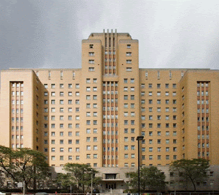 Montclair SocioBlog: Murky Research, Monkey Research