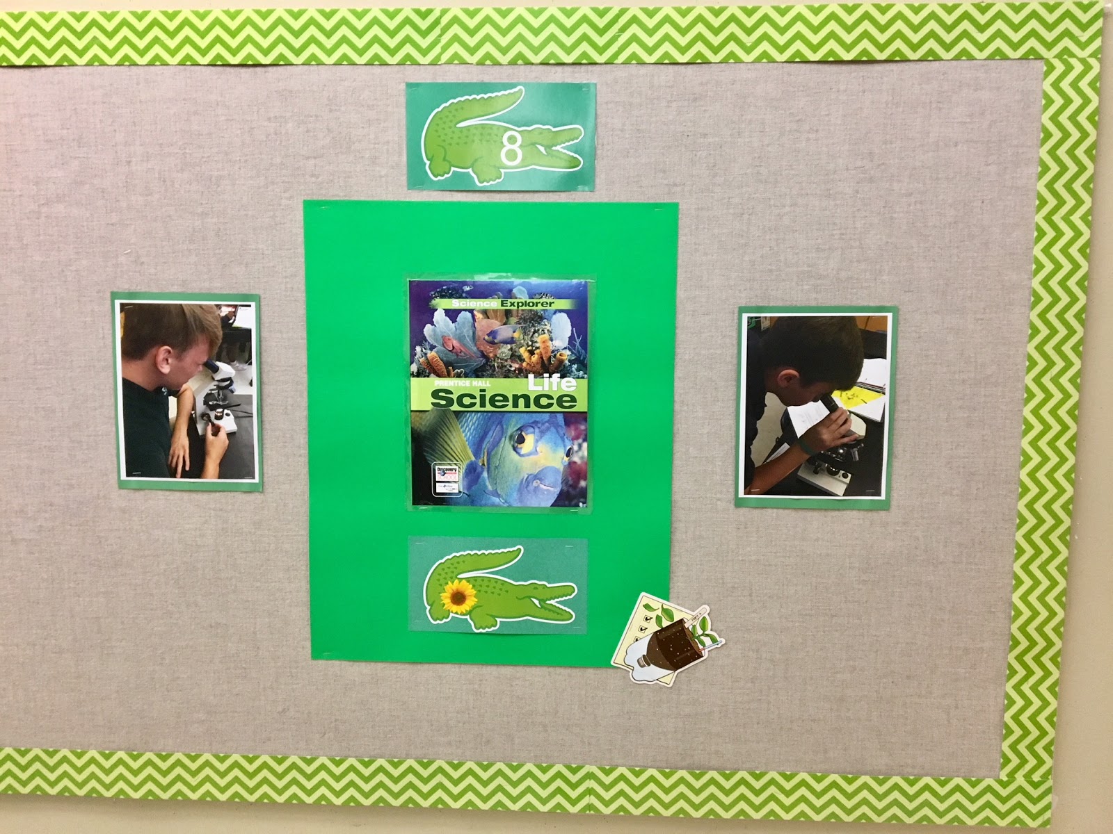 The Uptown Acorn: Science is a Beautiful Subject {Classroom Theme}