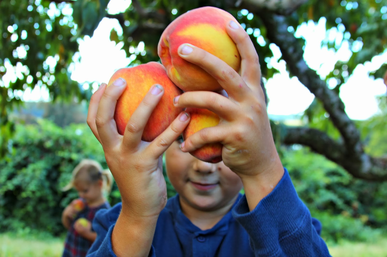 Zach Aboard: fruity kids