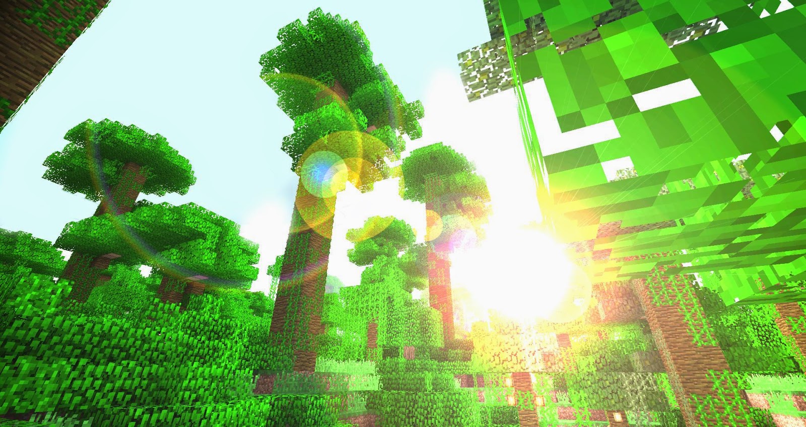 Fotos de Minecraft: la belleza de minecraft