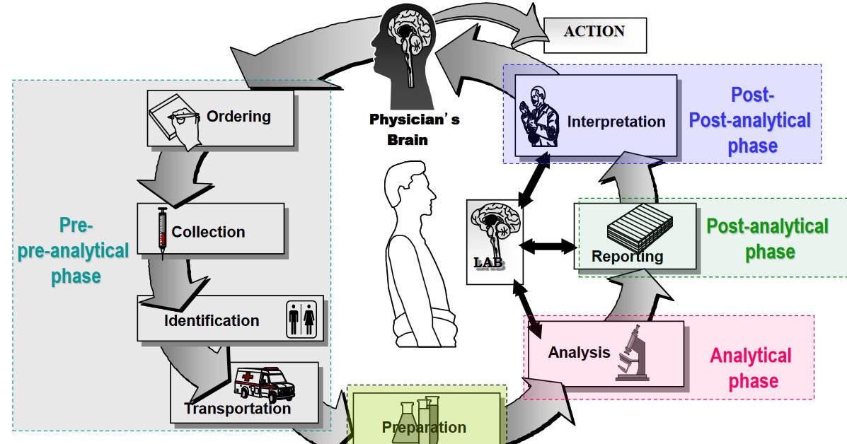Medical Laboratory and Biomedical Science: What is the Pre-analytical ...