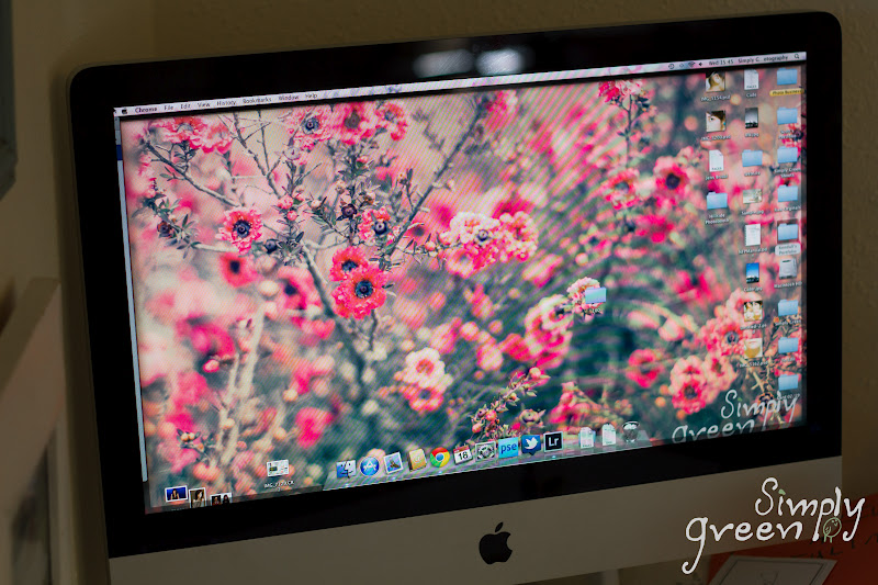 Simply Green Photography: One Thousand: Pretty computer backgrounds