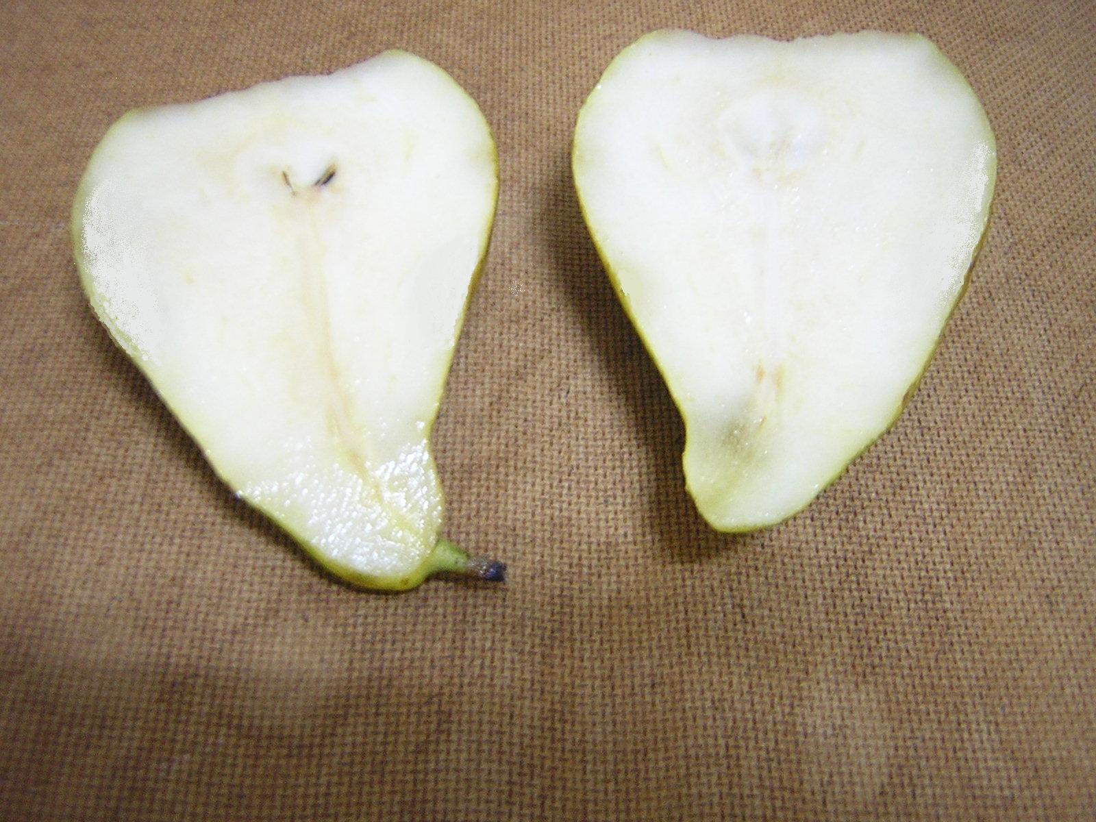 Mis experiencias mis imágenes: Pera de conferencia.