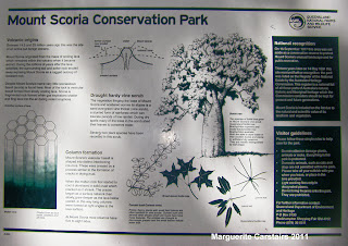 Travel With Me: Mt Scoria Queensland