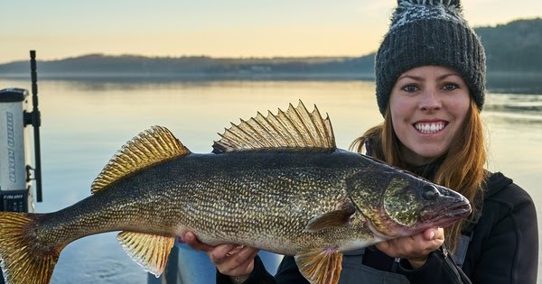 Virginia Tech Ichthyology Class : Walleye Madness, by Don Orth