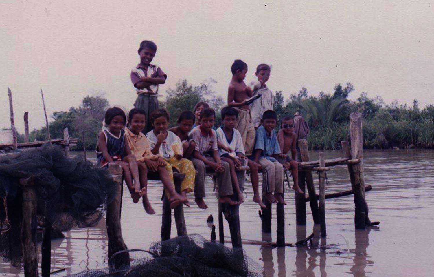 Hutan Bakau dan Ketamakan Manusia - Batikimono