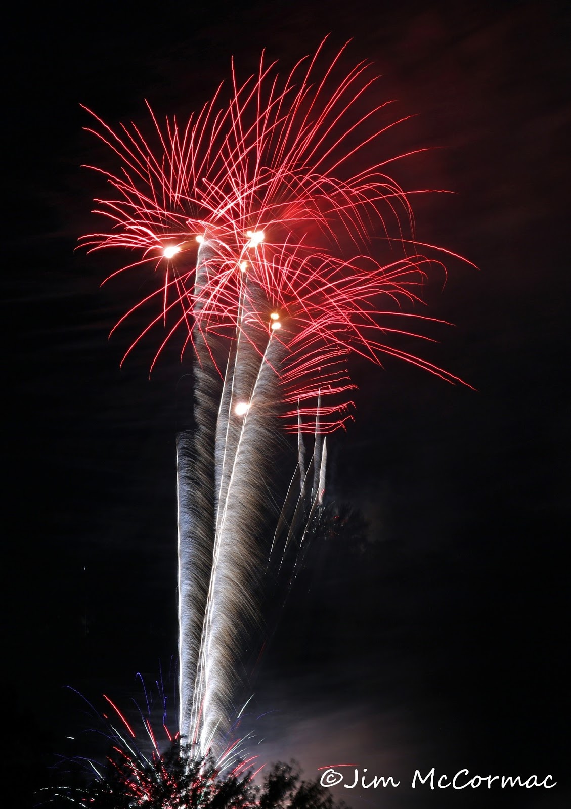 Ohio Birds and Biodiversity: Fireworks as Art