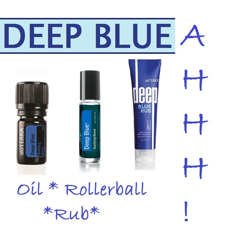 Through the Lavender Fields