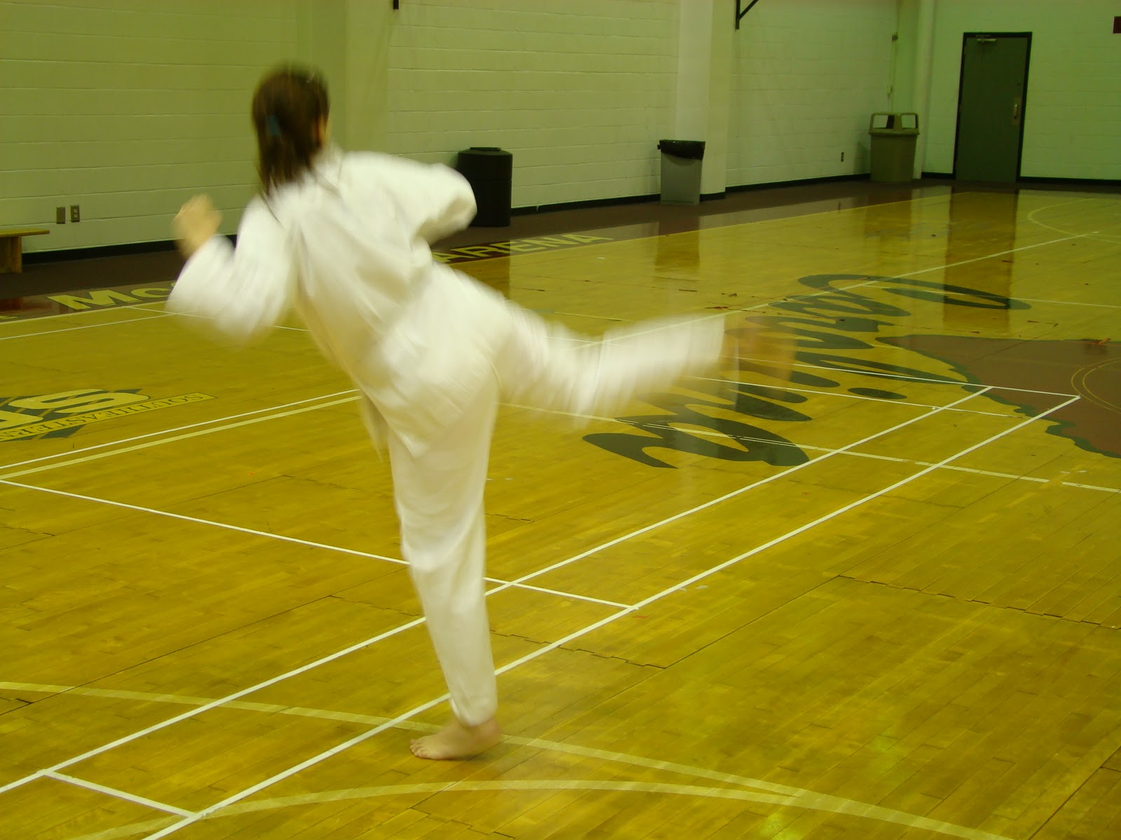 USC Karate: Kicks