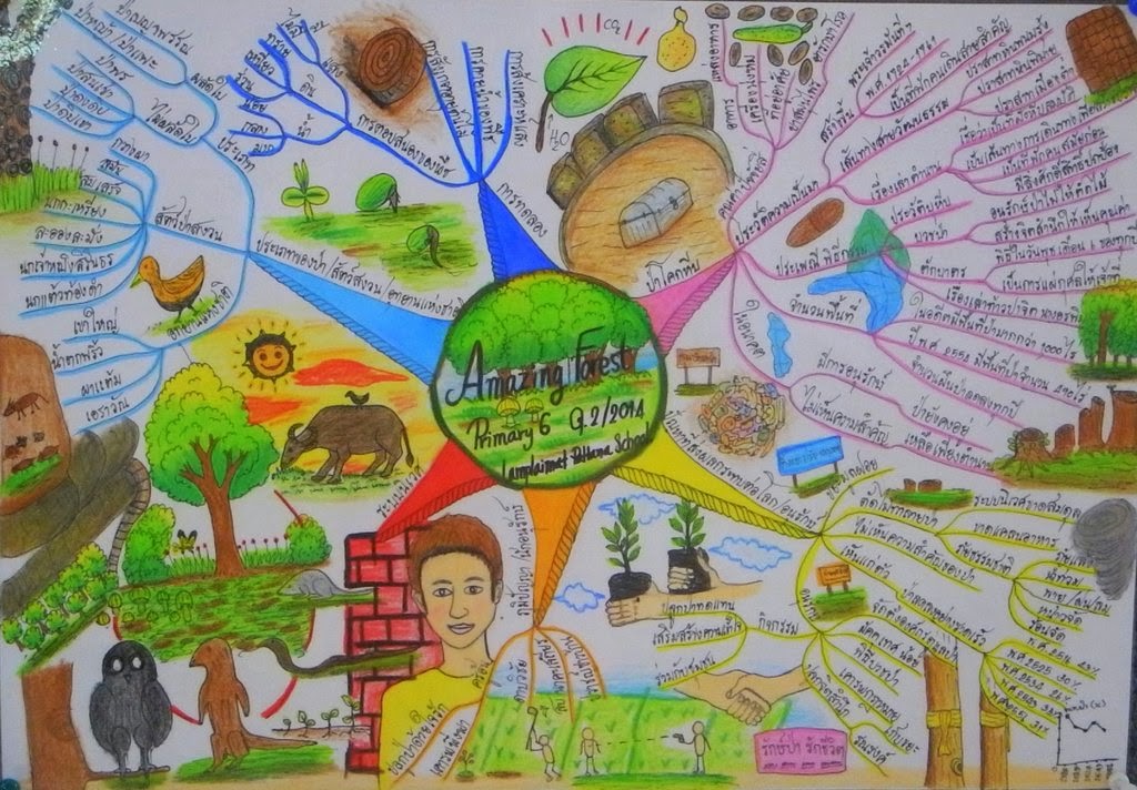 PQ2/57 บูรณาการ | ชั้น ป.6 หน่วย : ป่าโคกหีบ (Amazing Forest): Mind ...