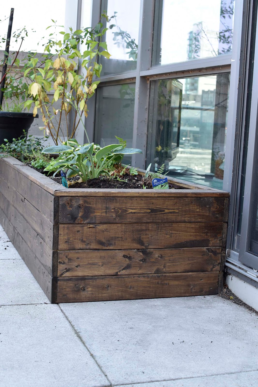 Urban Planter Boxes
