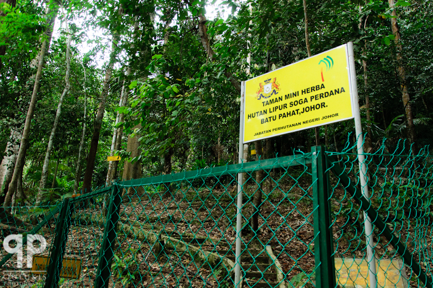 Jalan-jalan | Hutan Lipur Soga Perdana