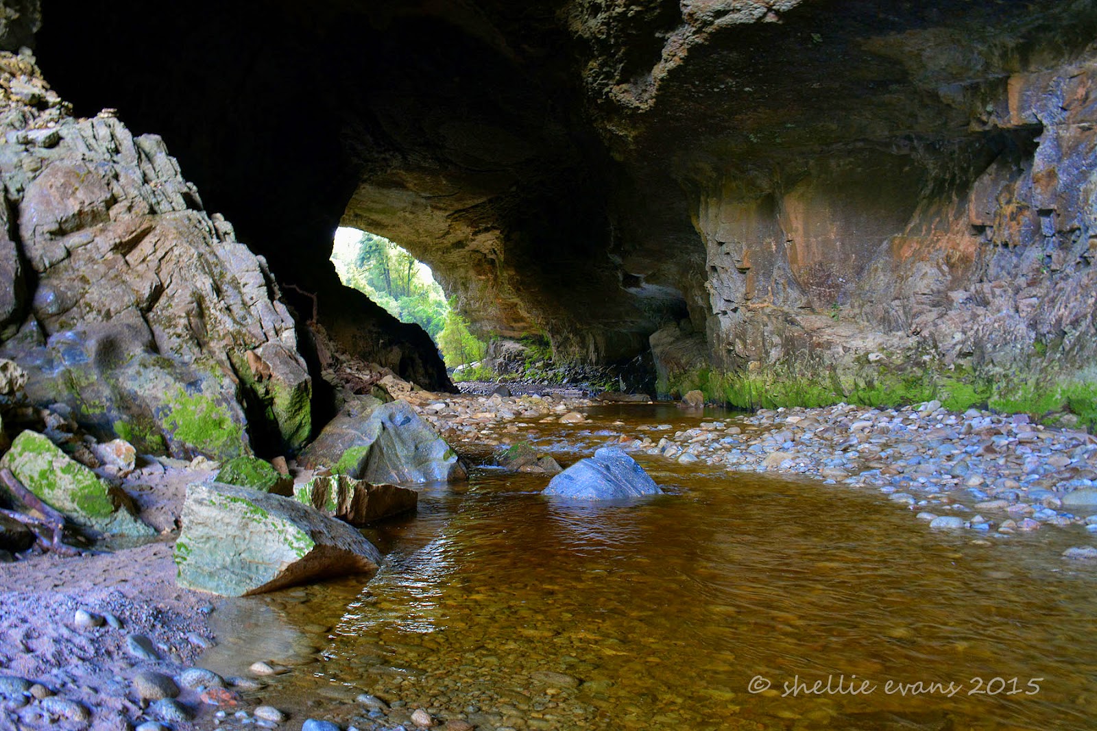 Two Go Tiki Touring: Lost World- The Oparara Basin