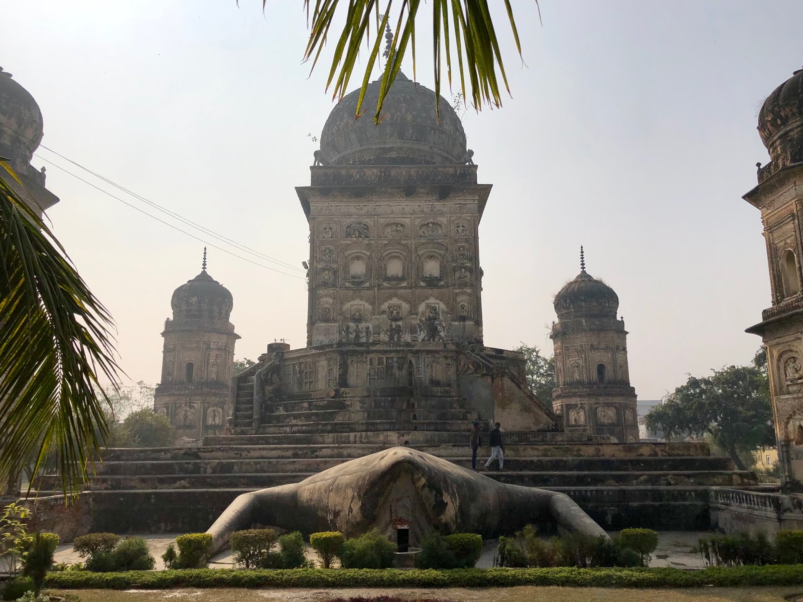 Explore Indialand: Did You Know About The Unique Frog Temple Of India?