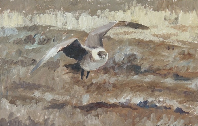 Tim Wootton Wildlife Art: Exhibition at The Loft Gallery, South ...