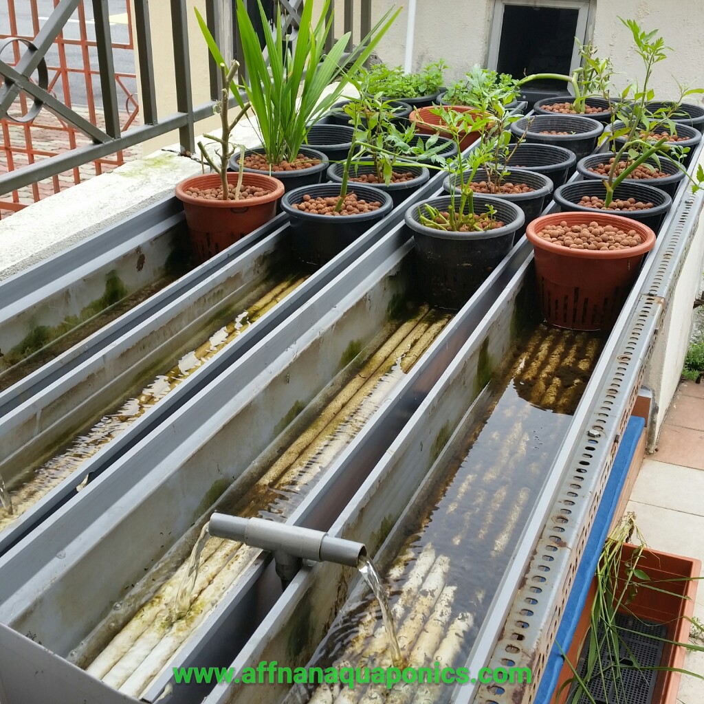 Affnan's Aquaponics: Front Gutterbed - Making a smaller setup.