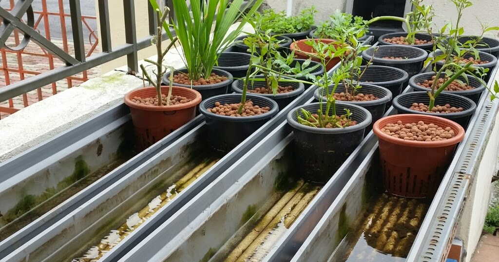 diy aquaponics dwc | Front Gutterbed Making a smaller setup ~ build ...