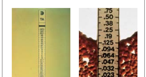 Microbiology: Reading guide for Etest results