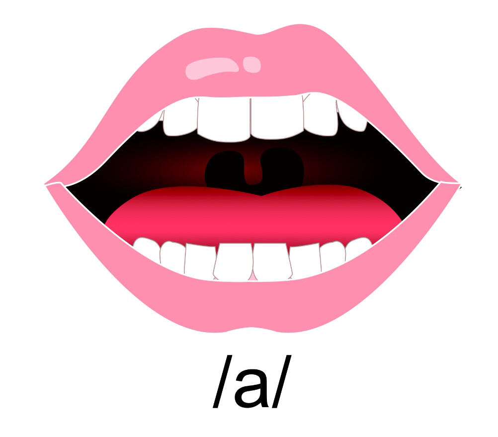 Escuela infantil castillo de Blanca: FONEMAS