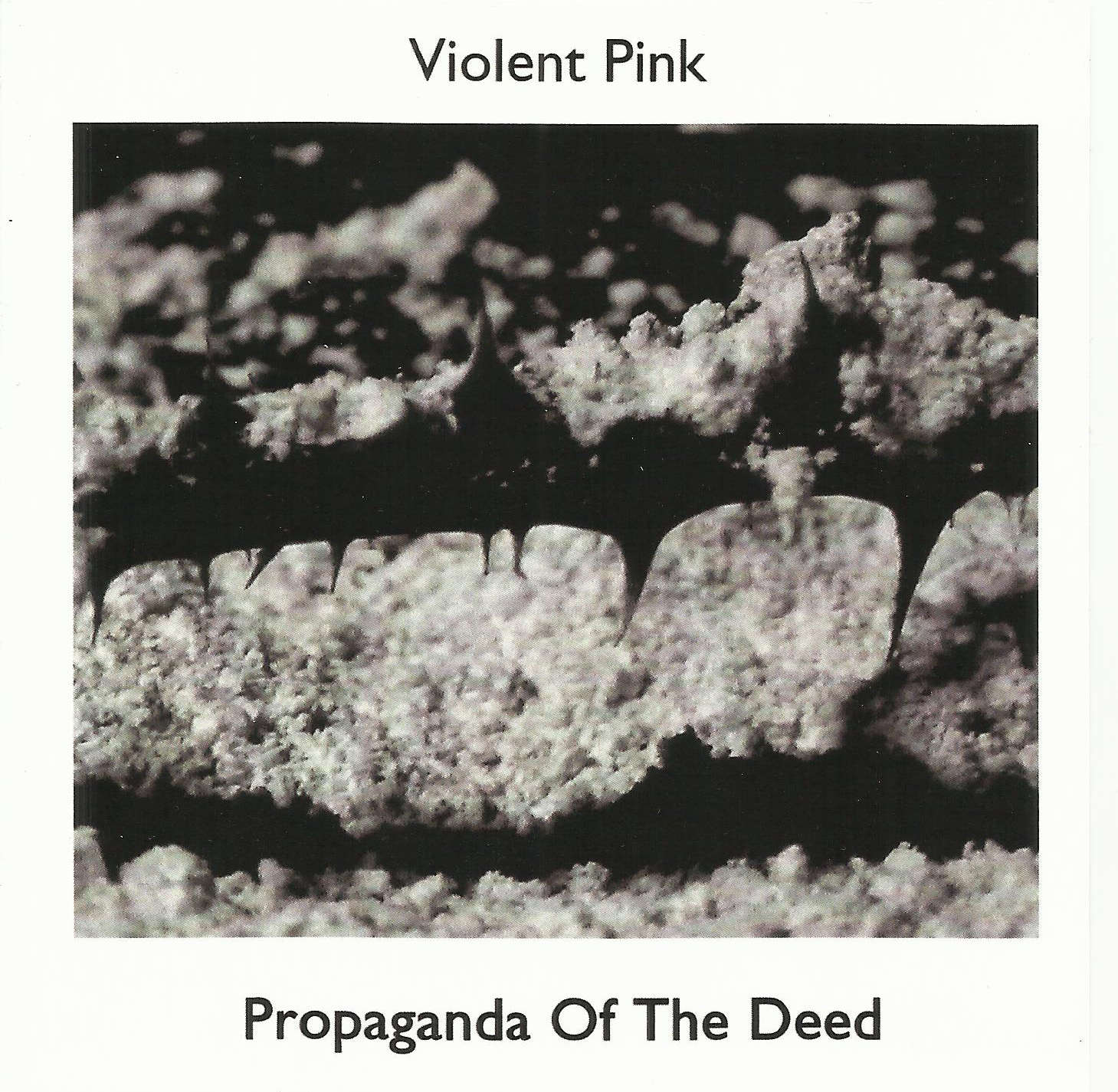 Killing Birds: ILSE Label: Dave Fuglewicz, Billy Gomberg, Anne Guthrie ...