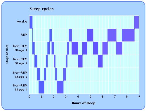 Uberman Sleep Cycle: Uberman Sleep Cycle