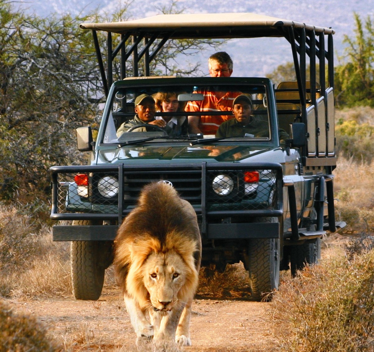 Southern Africa Travel: The Beautiful Kuzuko Lodge