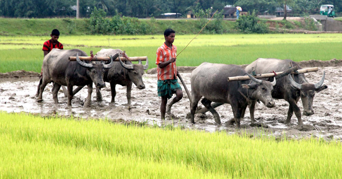 Rural Tourism And Bangladesh: A List Of Unexplored Rural Heritages in ...
