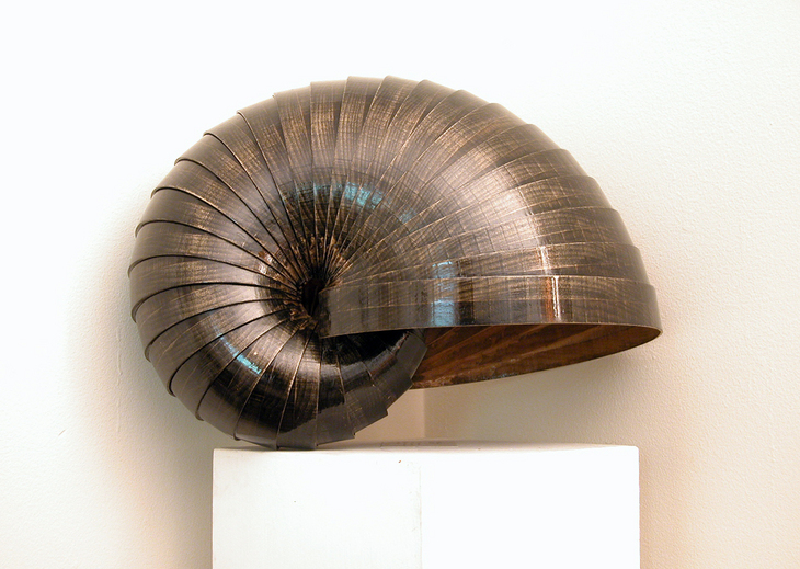 examination station: Shells