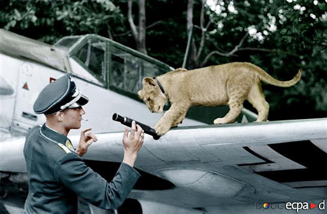29 Impressive Colorized Vintage Pictures of Soldiers at Wars ~ Vintage ...
