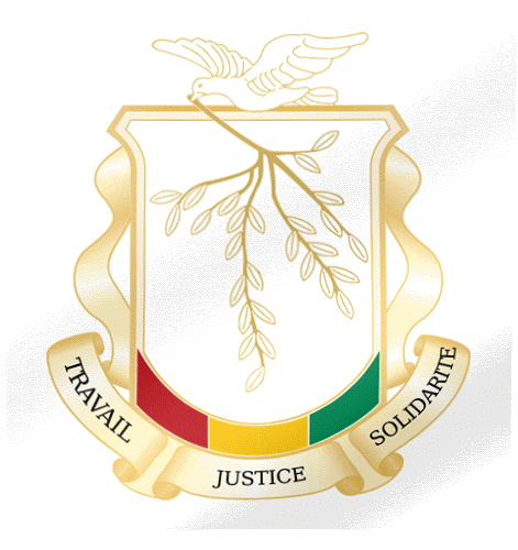 Flag of Guinea (GIF) - All Waving Flags