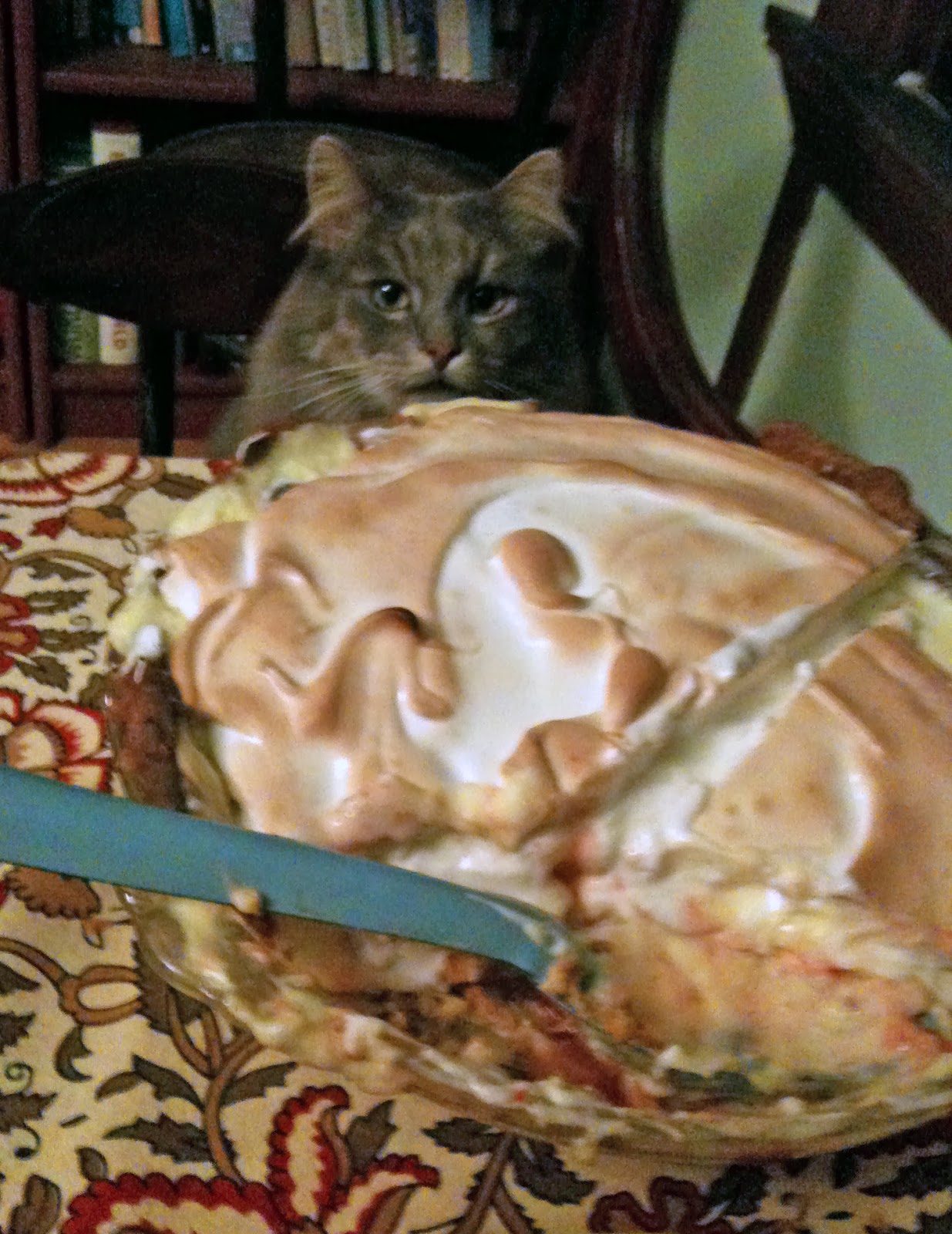 Monday Garden Update