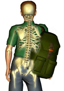 Physical Therapy DataBase: "Back" to the School