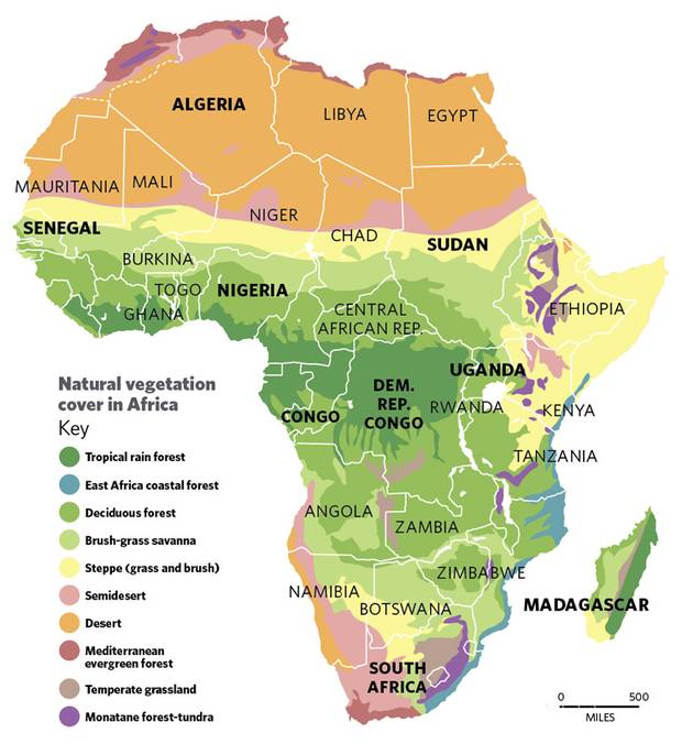 I Teach History World History 19 3 Africa i-teach-history-world-history-19-3-africa