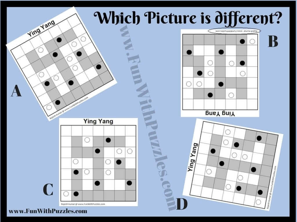 Odd One Out Picture Puzzle and Answer: Fun Challenge