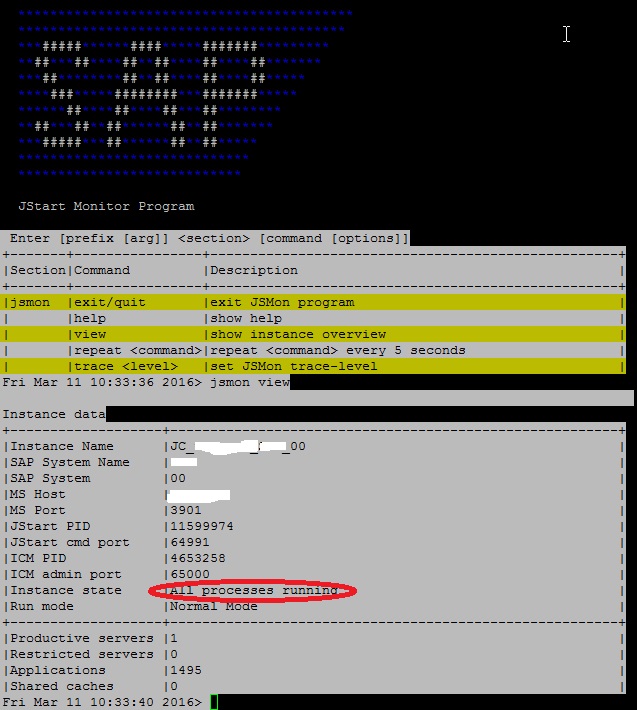 COMMON SAP-BASIS PROBLEMS SOLVED BY S0011755107: JSMON the "secret tool