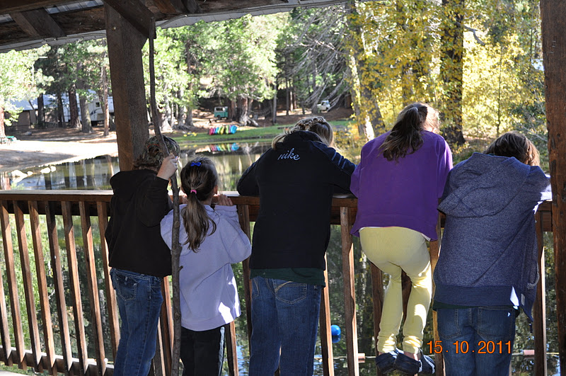 The Overall's: Jenness Park--Homeschool Camp