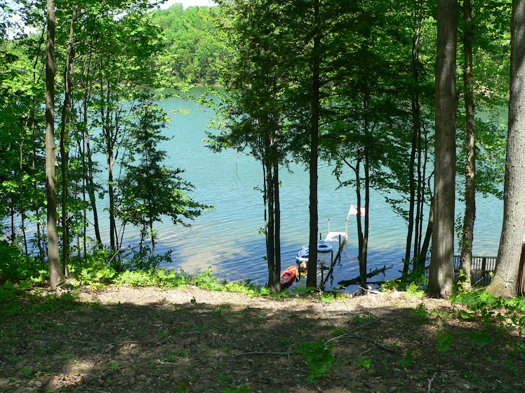 Turtle Lake Cottage - Building Our LEED/Green Home: 2011-01-02