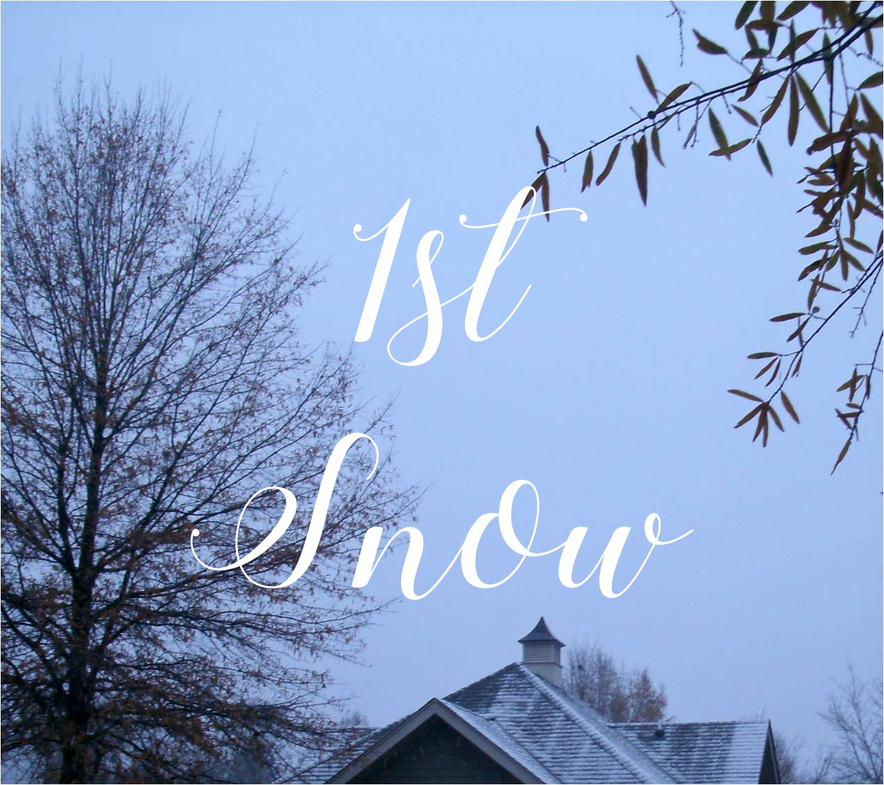 the wildflower journals: 1st Snowfall