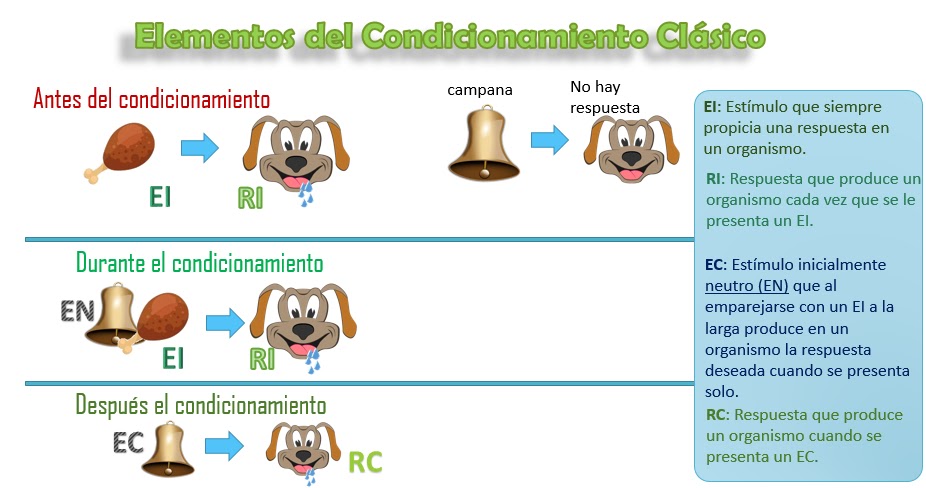 Esquemas, diagramas, gráficos y mapas conceptuales.: Condicionamiento ...
