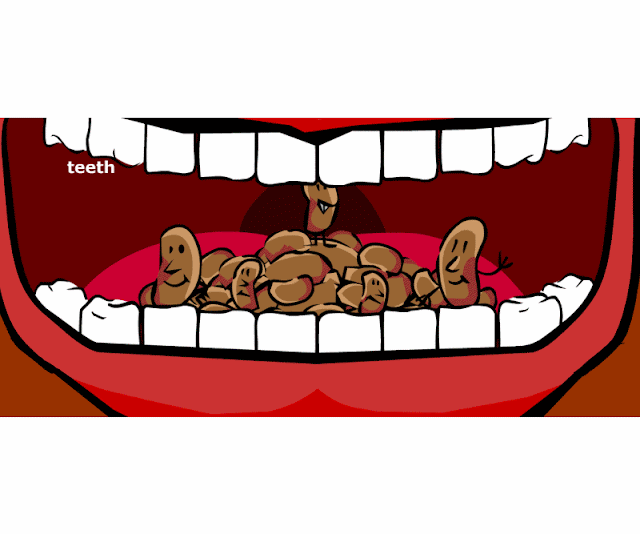 I ♥ my tract!: Row, row, row the food!