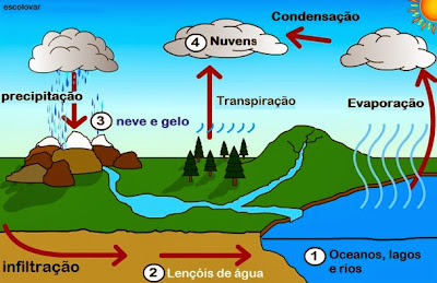 BioLOG: Biology Blog: Ciclo Hidrológico