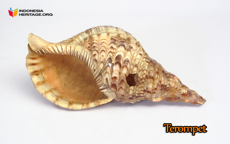 seni: Alat Musik Tradisional Papua