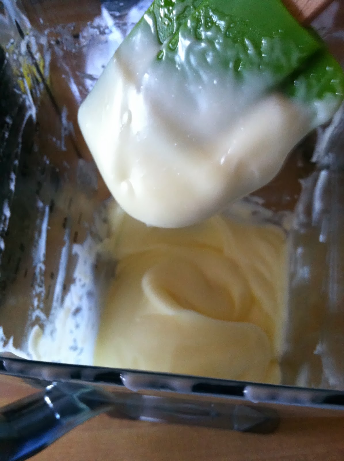 Made from Home Daily: Homemade Mayo