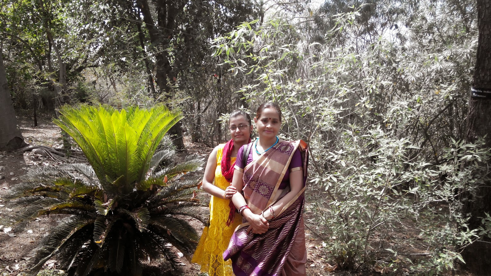 Pramodara Diary: A SHORT VISIT TO SAGAR (SAUGAR),M.P,INDIA