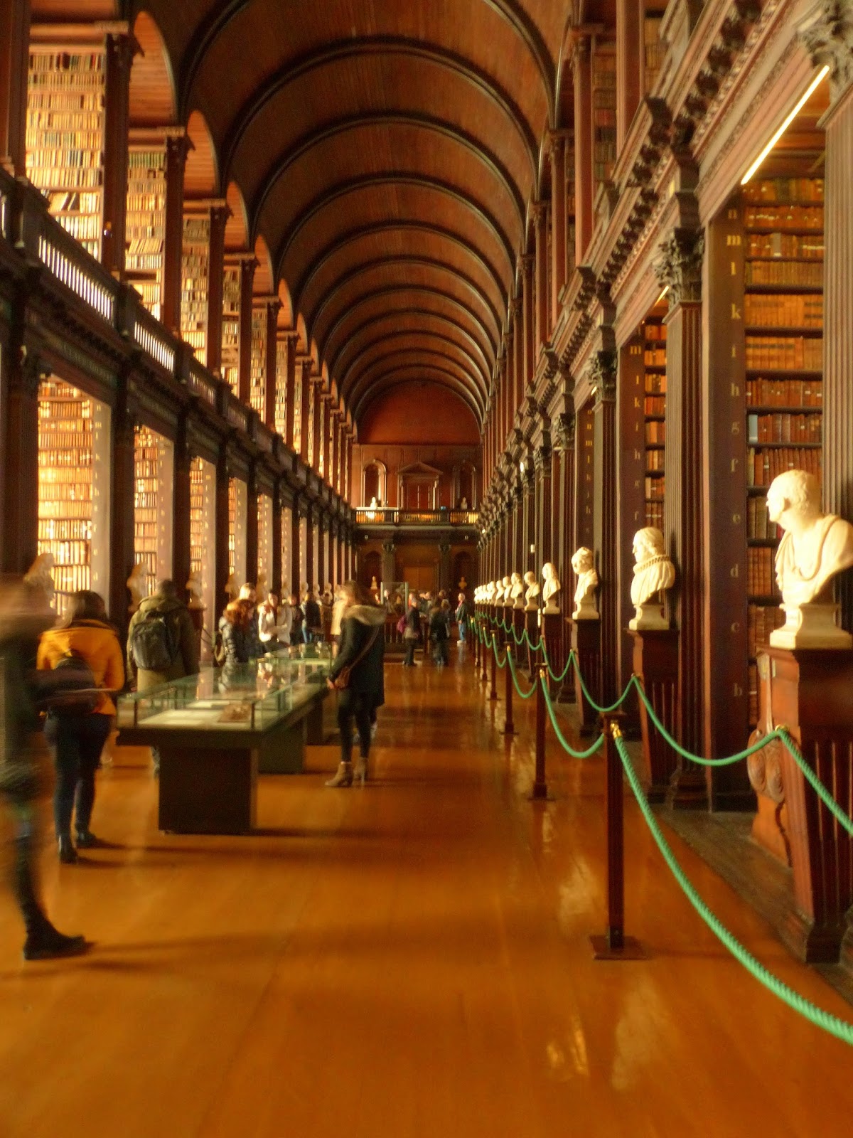 Birding For Pleasure: THROUGH MY LENS - Old Library Trinity College Dublin