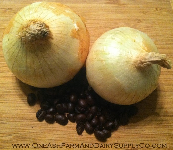 Coffee and Onions? - One Ash Homestead